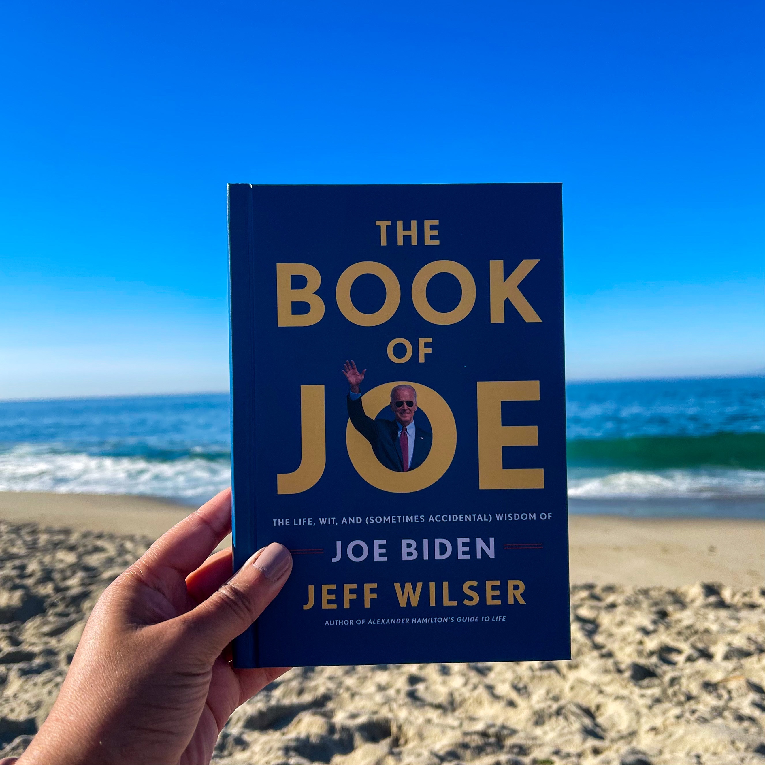 Review: The Book of Joe | Asha Reads