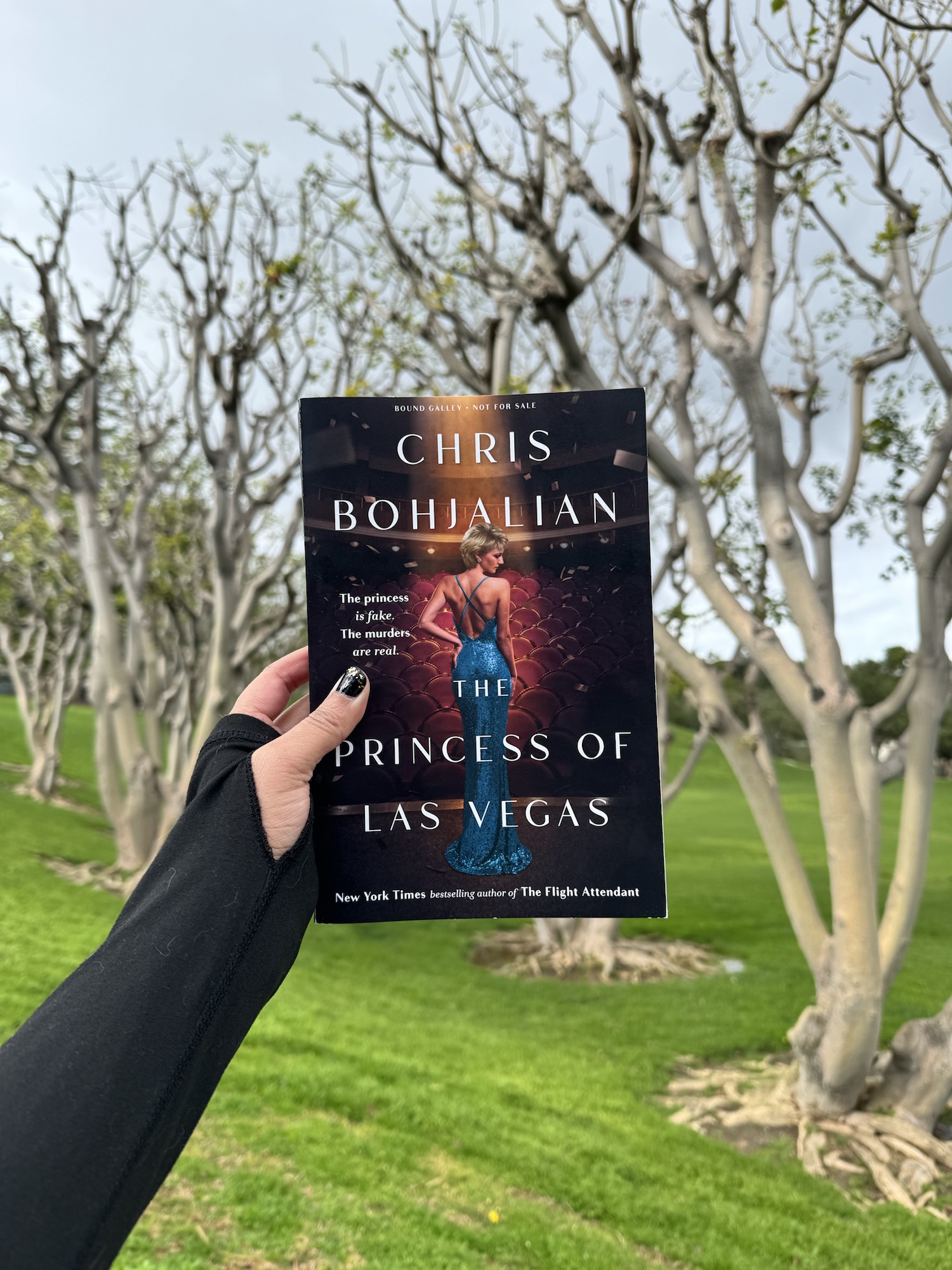 Review: The Princess of Las Vegas | Asha Reads