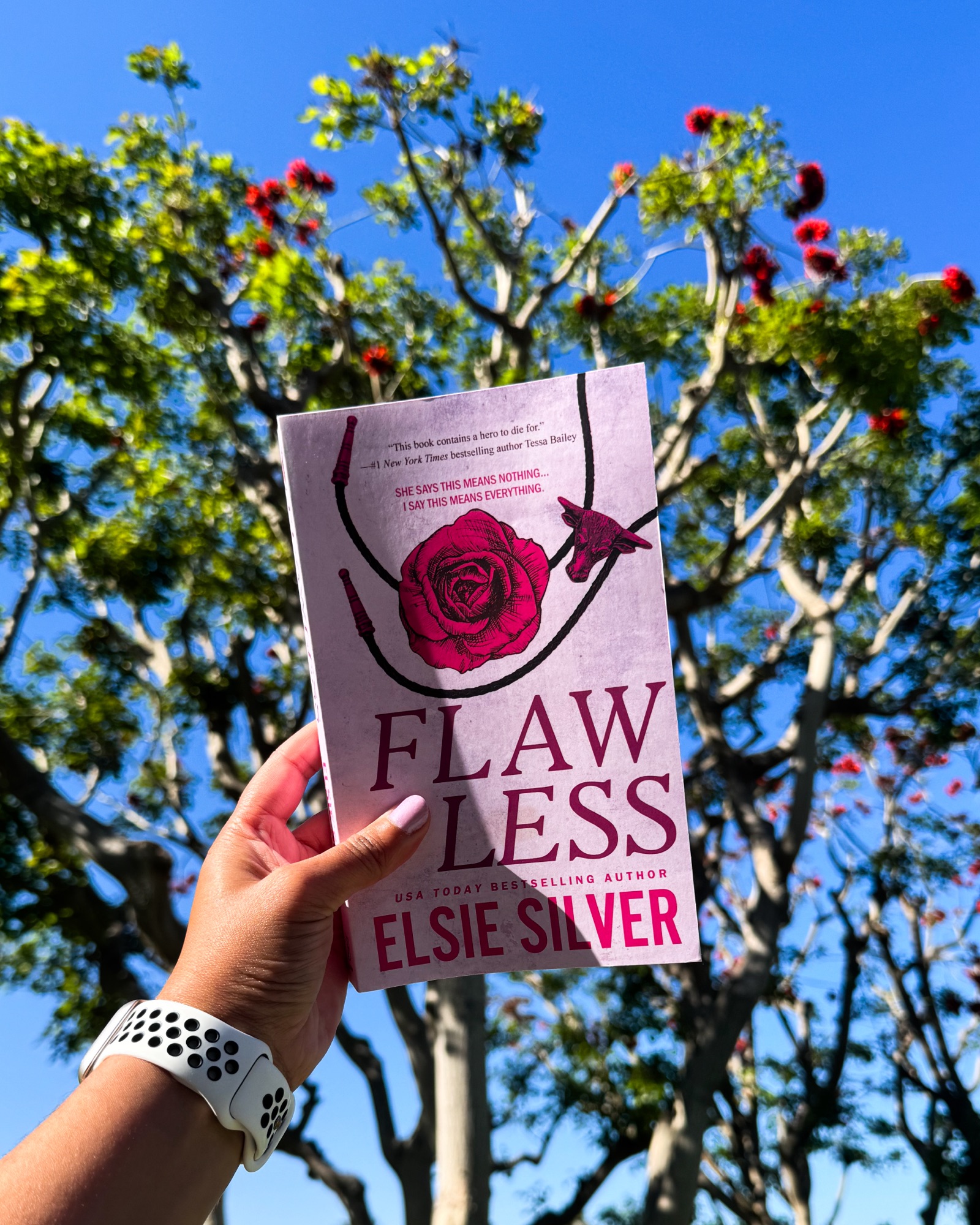 Review: Chestnut Springs Series | Asha Reads